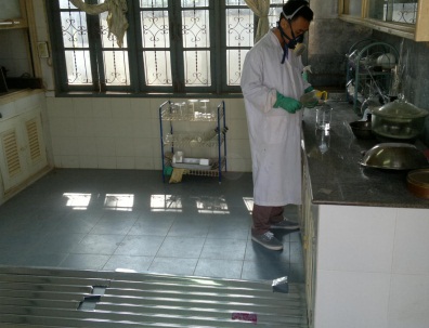 Zinc Quality Analysis Test